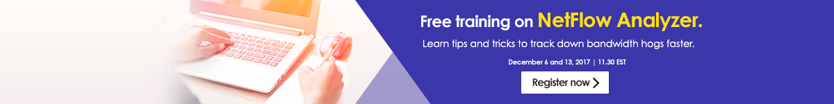 Network Bandwidth Monitoring | Traffic Analysis Software: NetFlow Analyzer