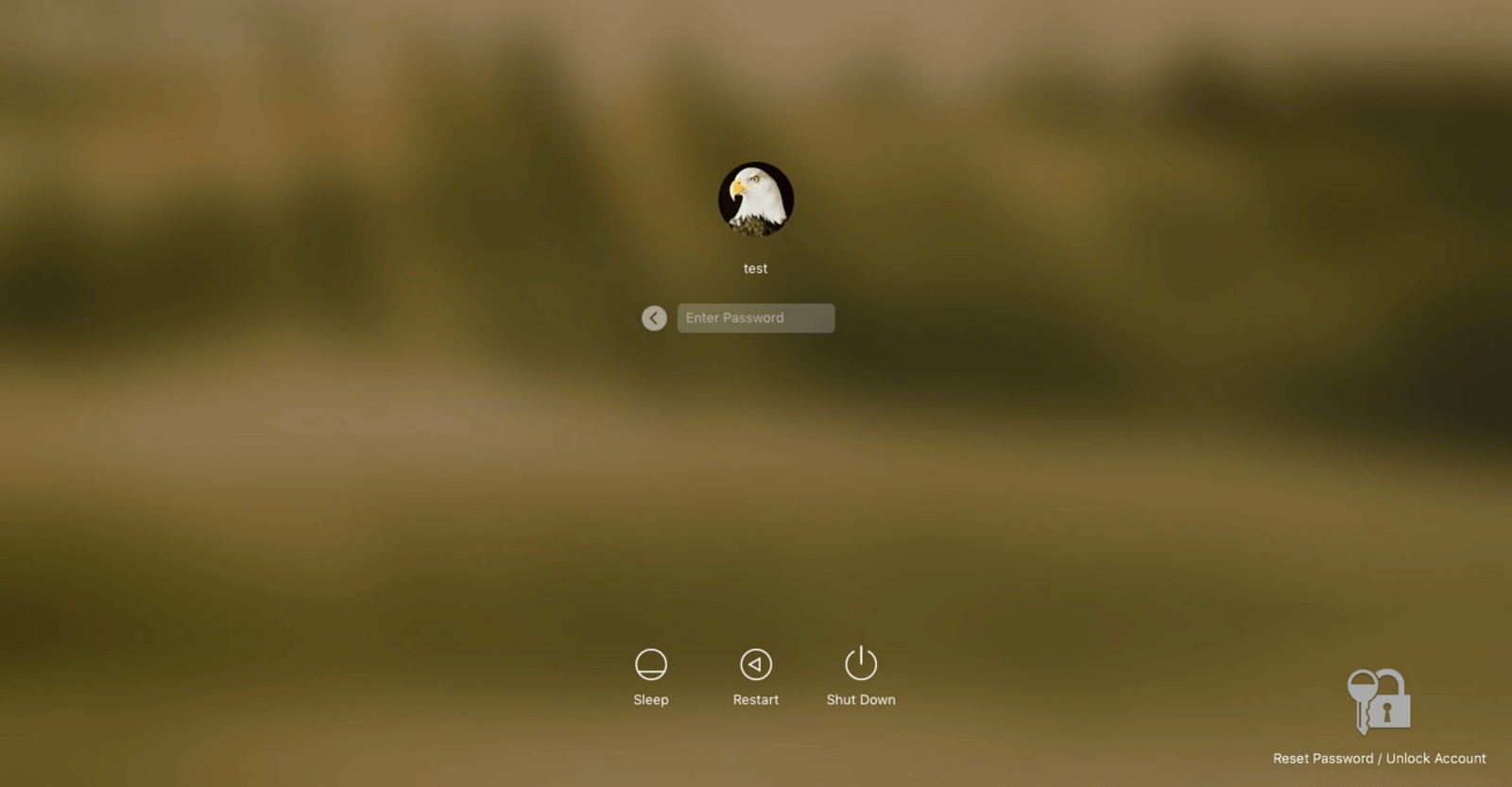 Simulation guide: How to Access ADSelfService Plus from the native ...